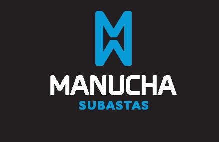LOTE N°02 – Subastas Manucha